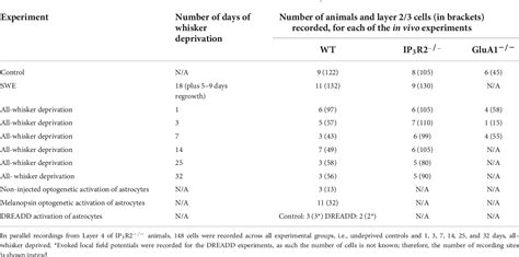 Table 1 From A Requirement For Astrocyte Ip3r2 Signaling For Whisker Experience Dependent