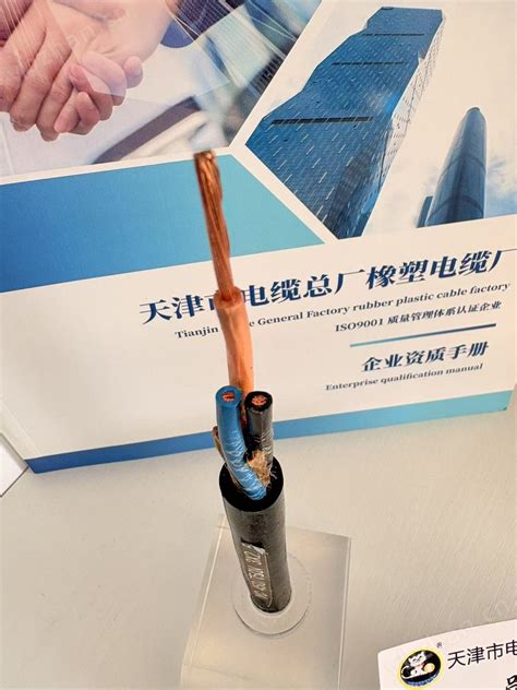 供应YC450 750v重型橡套软电缆 YC450 750v重型橡套软电缆供货期 仪表网