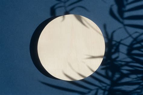 기하학적 형태의 추상적인 최소 장면 열대 야자수 잎의 그림자가 있는 파란색 배경에 원통형 나무 연단 화장품 Podructs를 보여주기 위해 빈 장면 진열장 진열장 강단에