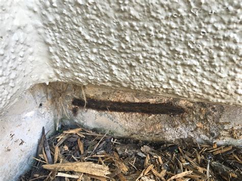 Foundation Rebar Showing DIY Home Improvement Forum