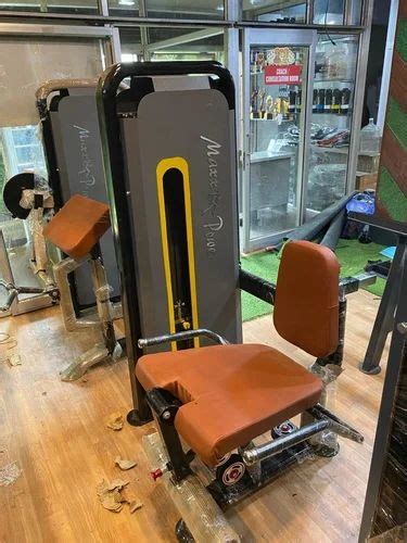 Gym Use Leg Curl Machine Model Name Number Maxx Power At Rs 35000 In Meerut