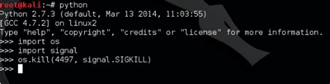 Python 如何终止进程oskill Csdn博客