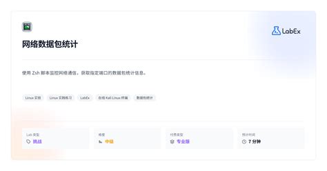 网络数据包统计 Labex