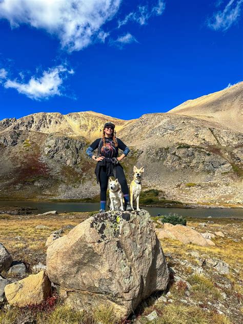 Multipassionate Designyourlife Careerdesign Creativity Flowstate