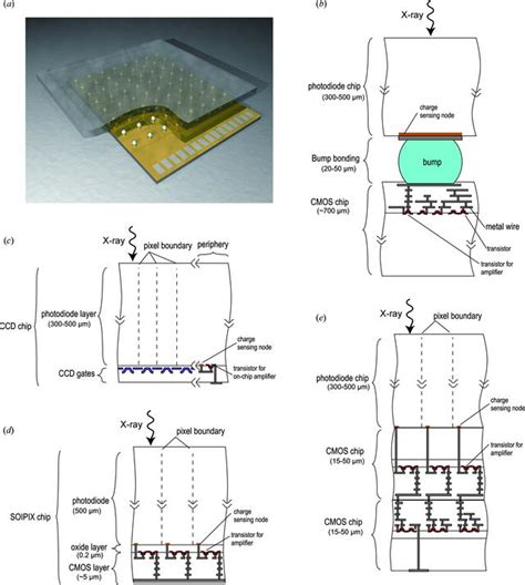 Iucr X Ray Imaging Detectors For Synchrotron And Xfel Sources