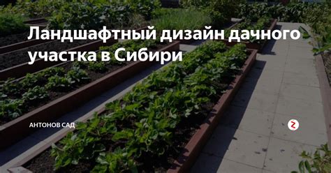 Ландшафтный дизайн дачного участка в Сибири Антонов сад дача и огород Дзен