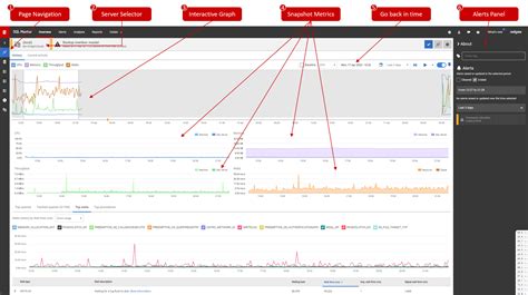 Using The Server Overview Sql Monitor 13 Product Documentation
