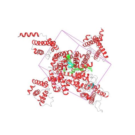 分子动力学 知乎 分子动力学 知乎