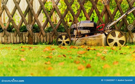 Exactly Trimmed Lawn Preparation Of The Garden For The Spring Stock