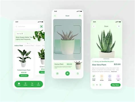 Develop Ai Plant Identifier App Plant Recognition App Leaf Detection