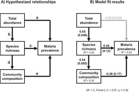 Path Diagram Representing Hypothesized Relationships Between Download Scientific Diagram