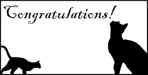 Congrats Kitty