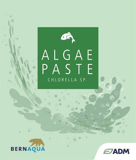 Algae Paste Bern Aqua