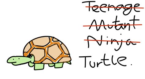 Turtle Meme By Mrsnufuls Memedroid