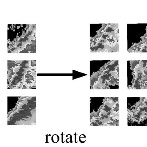 Visualization Of The Data Augmentation Process In Which Nine Sl Samples Download Scientific
