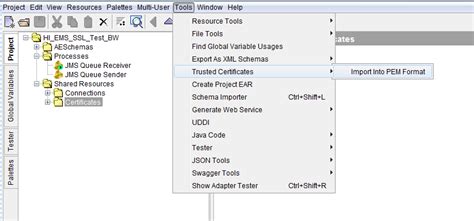 How To Configure The Ssl Certificates For Tibco Gems Valuesascse