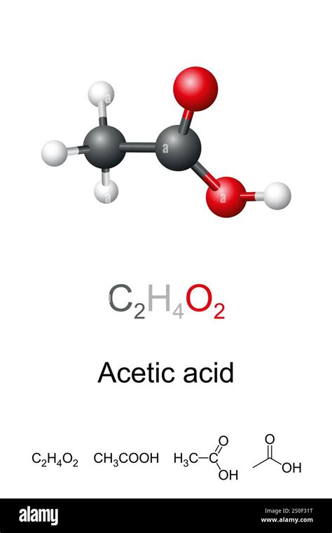 Acetic Acid Ethanoic Acid Molecule Model And Chemical Structure