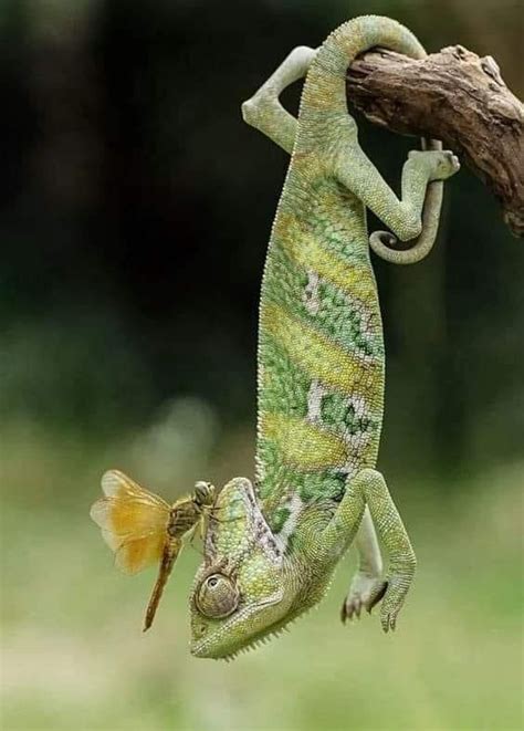 Dr Zohreh Majd Posted On Linkedin