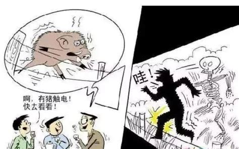 私设电网狩猎野猪 不慎电死无辜村民 韶关发布