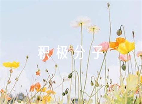 入党积极分子被推荐人优缺点三篇