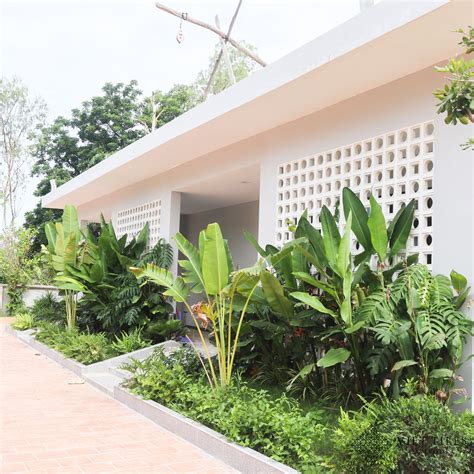 Modern Architecture With Greenery