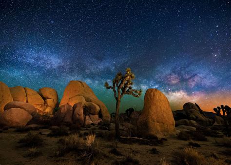 Download Joshua Tree National Park Starry Galaxy Sky Wallpaper