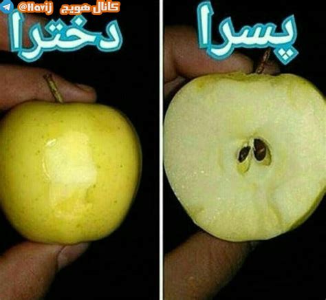 وبلاگ عکس جالب Aks Jaleb