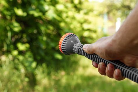 남자의 손 정원 급수 뜰을 만들기의 개념 손 정원 호스 꽃 클로즈업 신선한 녹색 잔디에 물을 공간 복사 계절에 대한 스톡 사진 및 기타 이미지 Istock