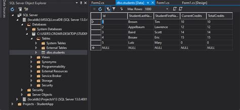 Entity Framework C Windows Forms App Adding An Element To The
