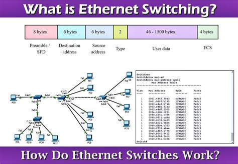 Fix Mysql Port 3306 Already In Use Error By Injamul Hasan Medium