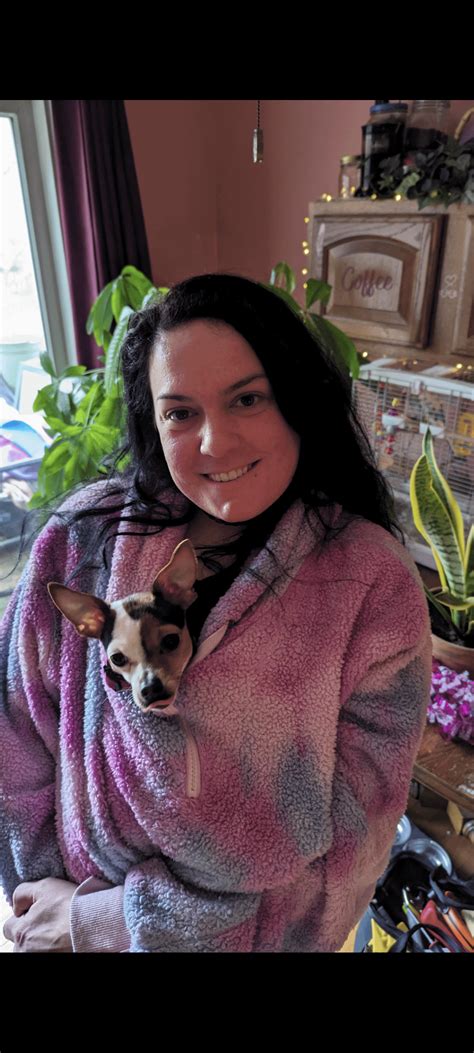 Gemini Is A Cuddle Bug🫂🩷 Rtoyfoxterriers