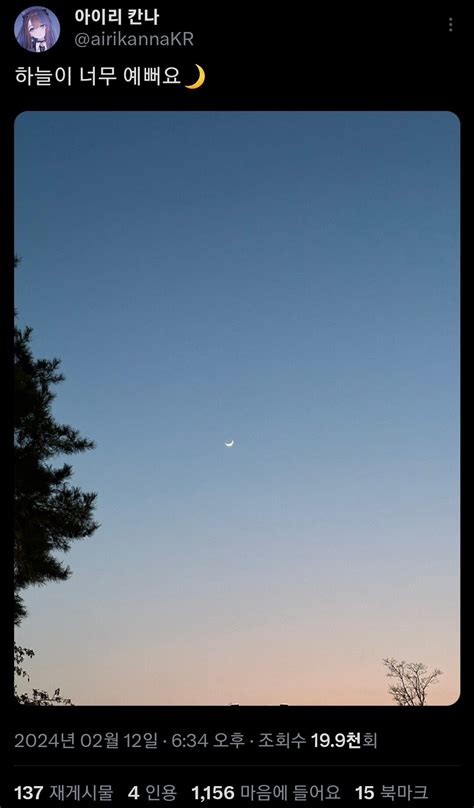 하늘 풍경을 찍는 스텔라이브 1기생과 2기생 치지직 에펨코리아