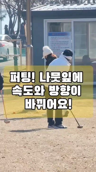 파크골프 퍼팅 이렇게 하세요 Youtube