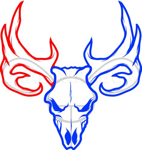 How To Draw A Deer Skull Deer Skull Tattoo Drawing Step By Step By