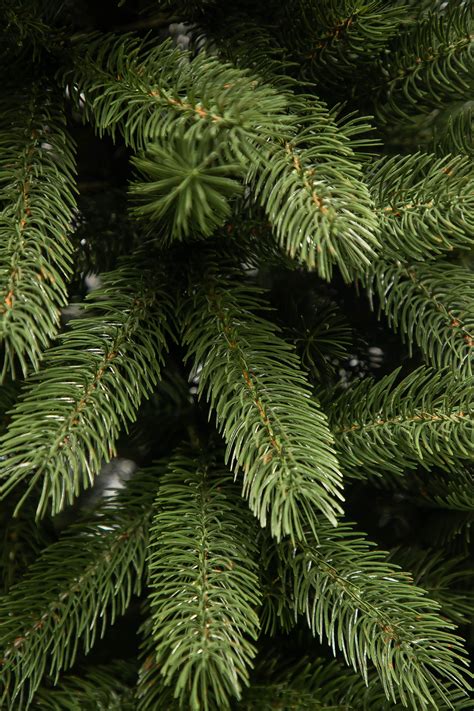 ᐉ Штучна ялинка Sgb Буковельська лита з підскавкою 2 3 м Зелений • Краща ціна в Києві Україні