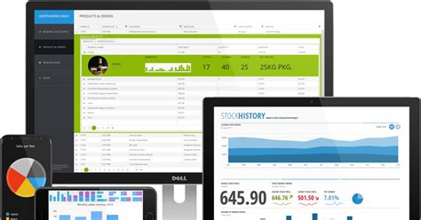 Telerik Devcraft Ui R1 2021 Sp1