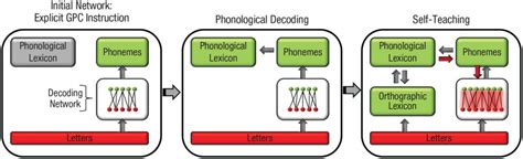 Whats In A Word Computational Modeling Puts The Science Of How We Learn Language To The Test