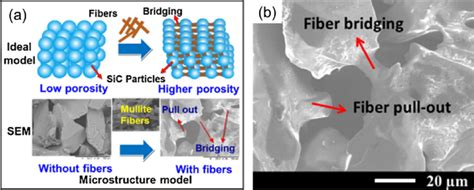 A Schematic Of The Incorporation Of Mullite Fibres Into The Porous Download Scientific