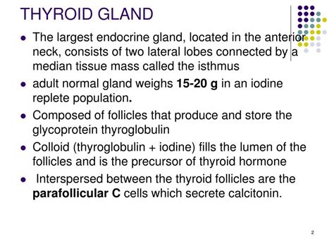 Ppt The Thyroid Gland And Disorders Of Thyroid Function Powerpoint