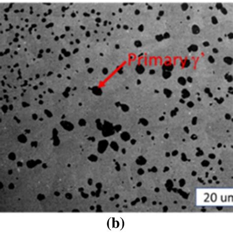 A Ebsd Grain Structure And B Sem Image Showing The Primary γ Present Download Scientific