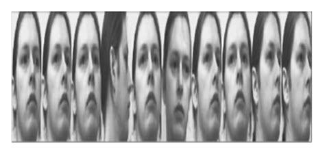 Illustration Of Some Images On Different Datasets A Orl B Yale
