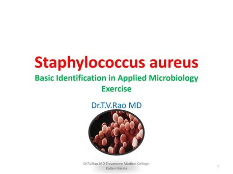 Dr T V Rao Sur Linkedin Staphylococcus Aureus Basic Identification In Applied Microbiology…