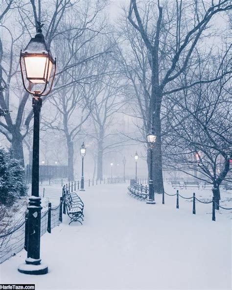 Winter Snowflake Wallpaper For Mobile Theme Download High Quality Winter Wallpaper And Snow