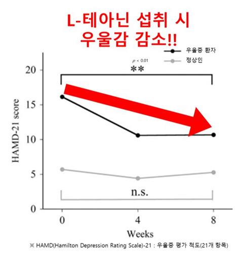 슈퍼푸드 녹차효능 3가지 맛있게 먹는 방법까지 확인하세요 건강정보 바른뉴트리