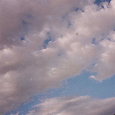 ‎apple Music 上cuco的专辑《mi Querido Mi Viejo Mi Amigo Single》