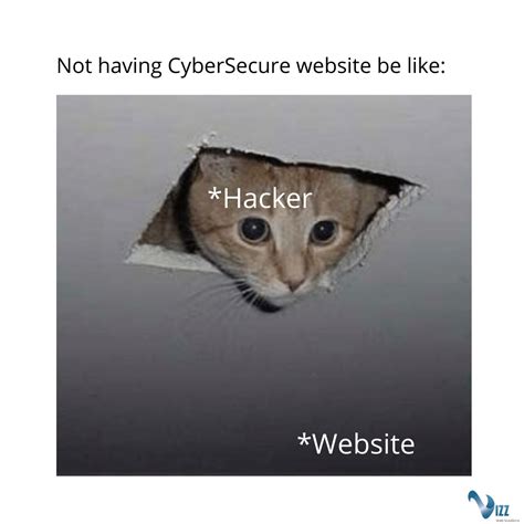 Vizz Web Solutions Pvt Ltd On Linkedin Cybesecurity Programmers Meme Ethicalhacking