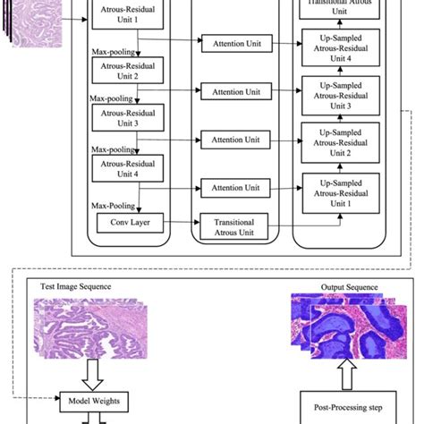 Overview Of The Proposed Gland Segmentation Model Download Scientific Diagram