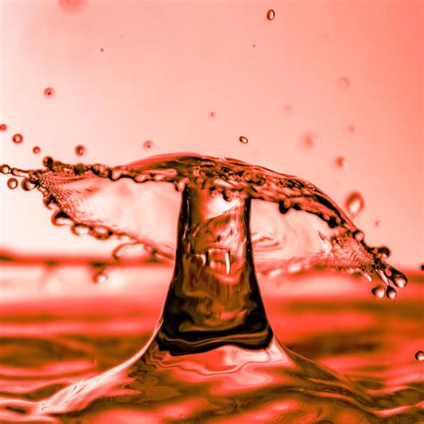 Trigger Trap Splash Flash Timer 8 Steps Instructables