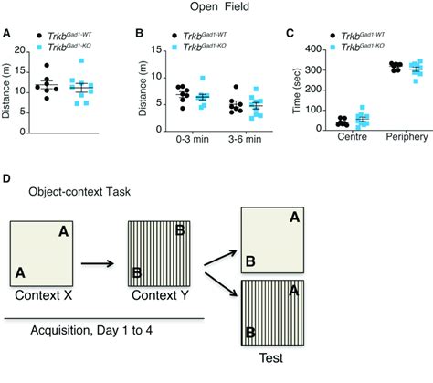 Figure S7 Open Field Of And Object Context Recognition Ocr Task Download Scientific
