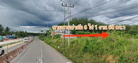ขายที่ดินทำเลทอง ที่ดินร้อยแปด คอม